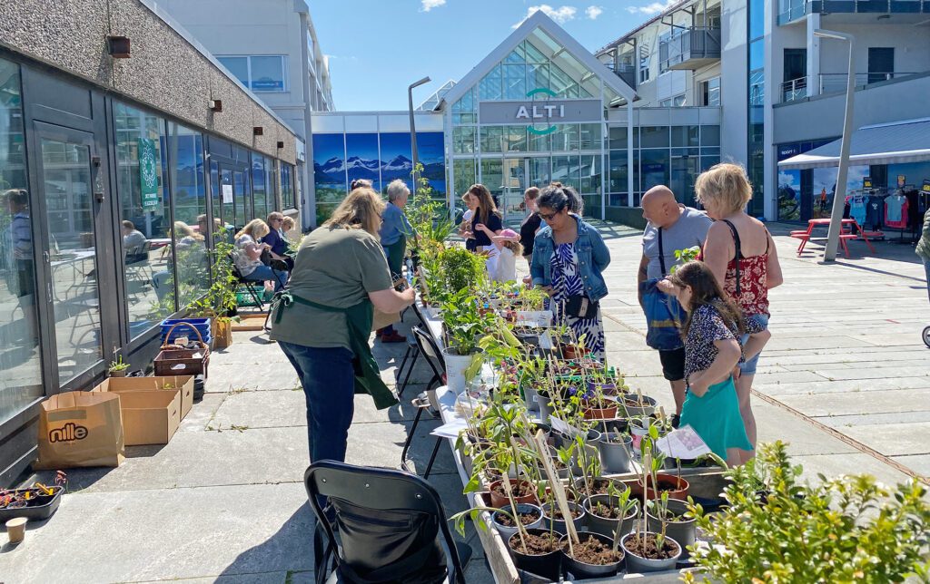 Torgdag med salgssuksess - Vestnesavisa