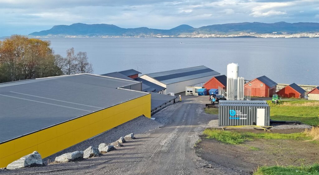 Har lukka avvika hos Hjelvik Matfisk - Vestnesavisa